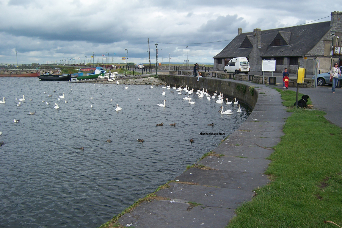 Claddaghbay: The Claddagh Ring Story